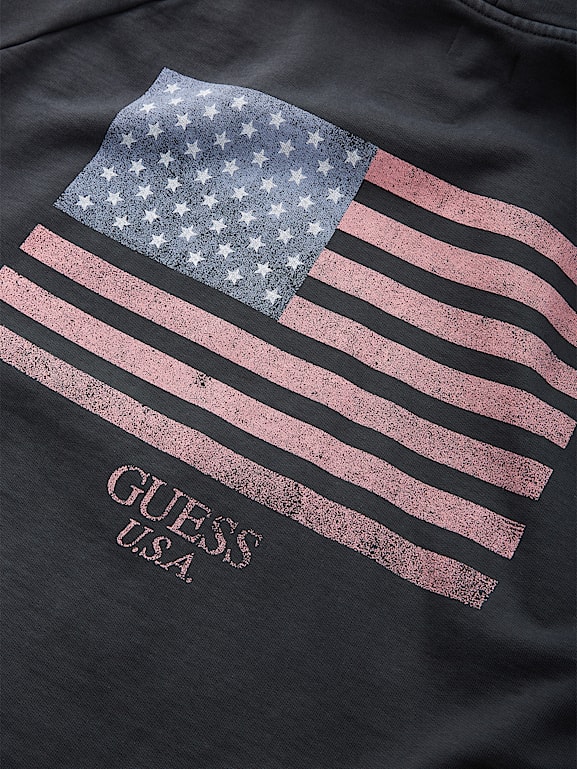 american guesses flags