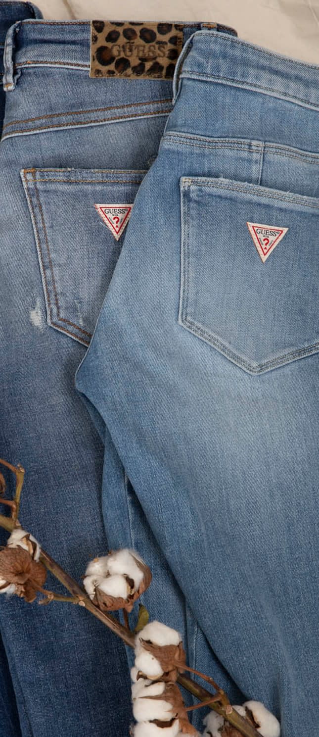 landing-guess-recycle